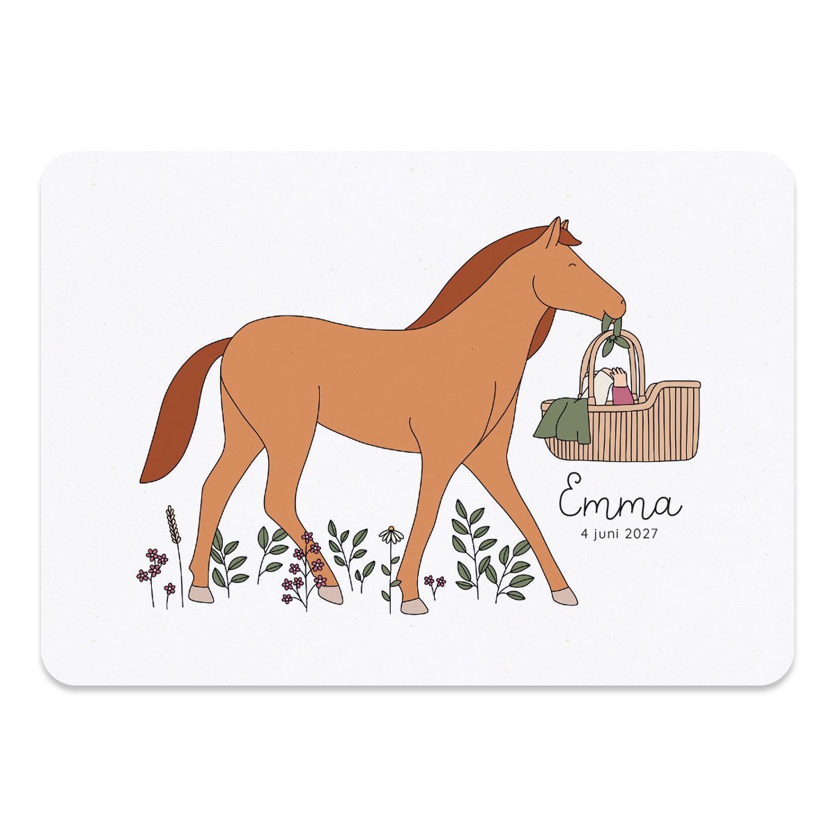 Een vrolijk geboortekaartje met paard en baby in mandje